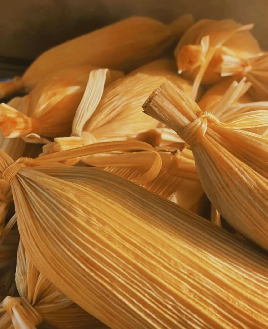 Chicken Chile Rojo Tamales | Tamale Box